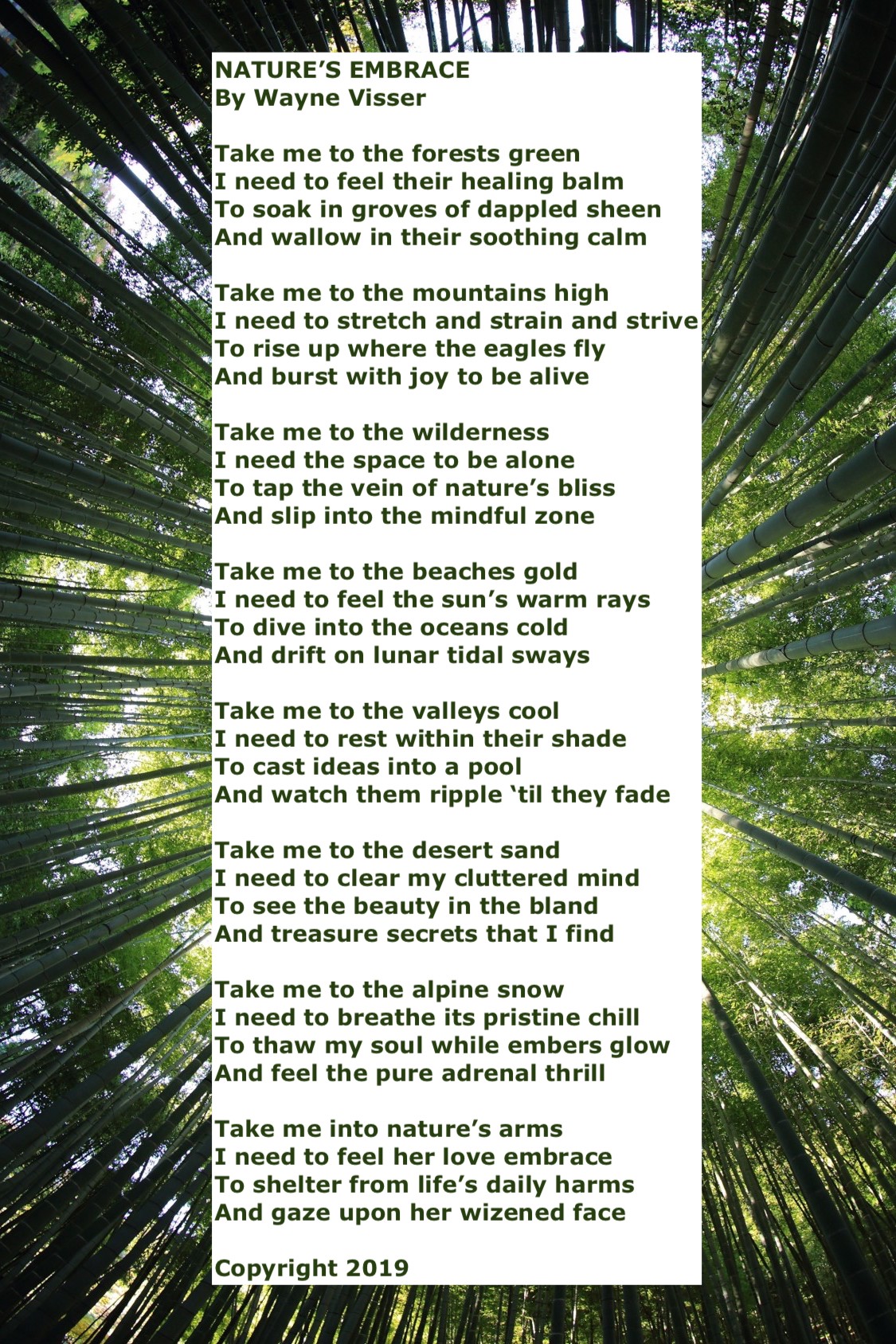 Nature’s Embrace | Wayne Visser