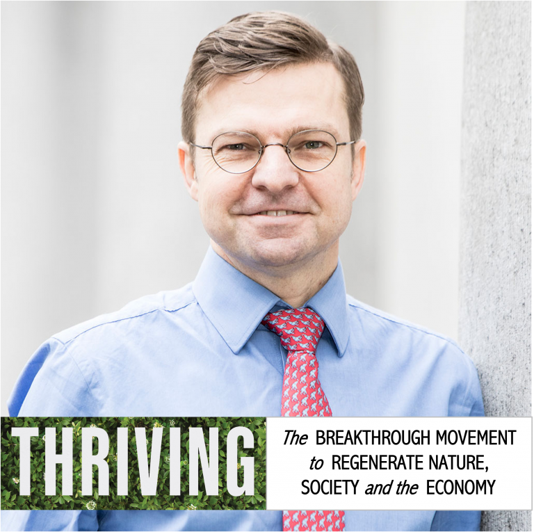 Thriving | Wayne Visser